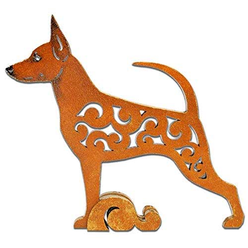 Amazon.com: Red Miniature Pinscher (Zwergpinscher, Min Pin) dog ...