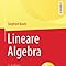 Lineare Algebra (Springer-Lehrbuch): Amazon.de: Siegfried Bosch: Bücher
