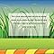 The Super Toddlers: Grammer, Joey, Hefke, Debbie j: 9781726698054 ...