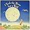 I Took the Moon for a Walk: Carolyn Curtis, Alison Jay: 9781846862007 ...