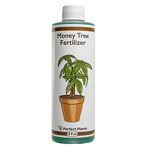 Perfect Plants Liquid Money Tree Fertilizer | 8oz. of Premium ...