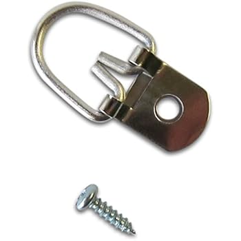 Heavy Duty D-Ring Picture Hangers - 100 Pack - 1 Screw - - Amazon.com