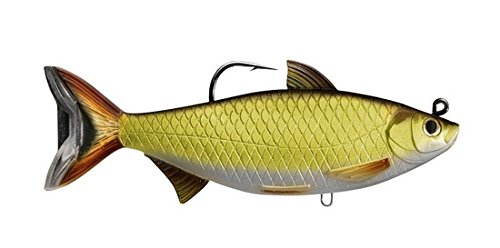 Live Target Golden Shiner Swimbait - MasterBasser