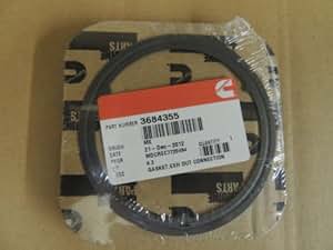 Amazon.com: Cummins 3684355 Exhaust Out Connection Gasket: Automotive