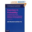 Amazon.com: Exercises in Probability: A Guided Tour From Measure Theory To Random Processes, Via ...