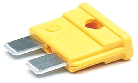 BATTERY CHARGER FUSE 20A: Amazon.co.uk: DIY & Tools