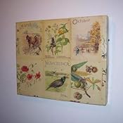 Nature Notes of an Edwardian Lady (1905): Amazon.co.uk: Edith Holden ...