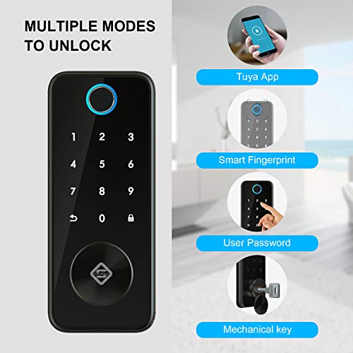 PINEWORLD Fingerprint Door Lock, Biometric Keyless entry deadbolt ...