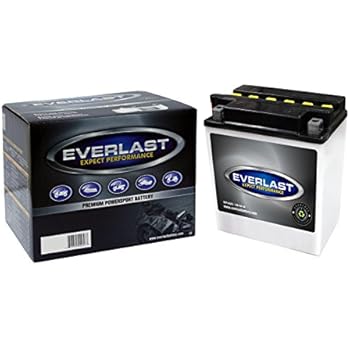 Amazon.com: Yuasa YUAM2241B 12N14-3A Battery: Automotive