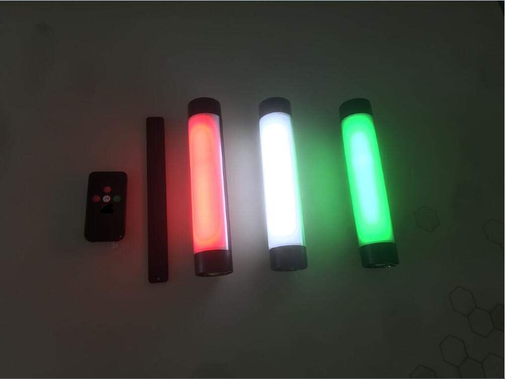 Sunblesa Magnetic Waterproof Rechargeable IR Remote Control Carp ...