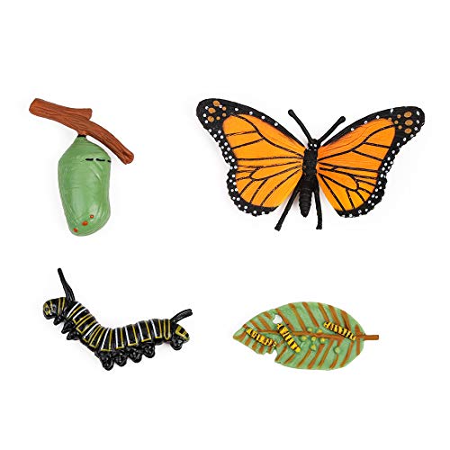 UANDME Life Cycle Figurines of a Monarch Butterfly and a Frog Realistic ...