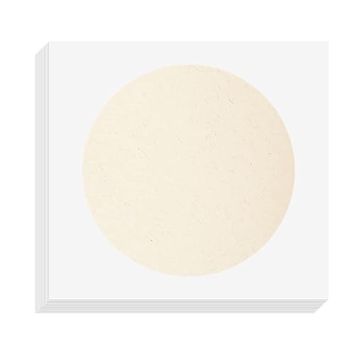 10 Sheets Soft Shikishi Paper, Pre-Mounted Xuan Paper Raw, Chinese ...