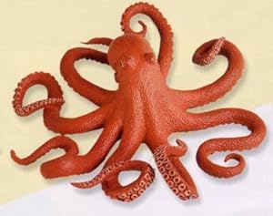 Amazon.com: 7 Inch Pacific Octopus: Toys & Games