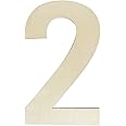Amazon.com: Wooden Numbers 12 Inch, Large Wooden Number 2 Shapes ...