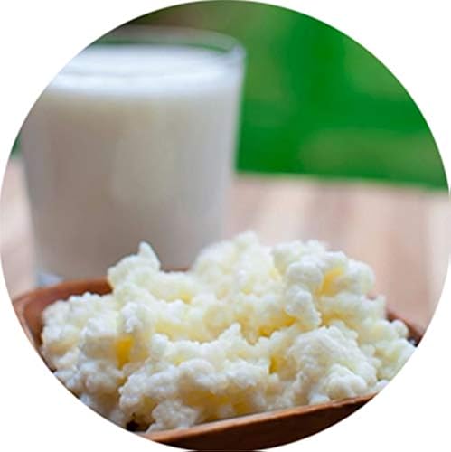 Milk Kefir POWDER Lebanese - Probiotic Starter - No Maintenance - Leche ...