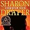 Amazon.com: Copper Sun: 9780689821813: Draper, Sharon M.: Books