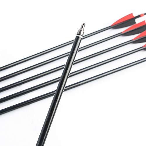 TOPOINT ARCHERY 30 inch Carbon Arrows with Removable Tips, Practice ...