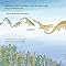 Beware of the Crocodile (Nature Storybooks): Jenkins, Martin ...