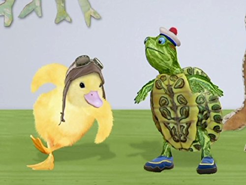 Watch Wonder Pets - Season 2 (English voice over) | Prime Video