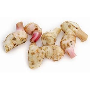 Fresh Thai Galangal (100g): Amazon.co.uk: Grocery