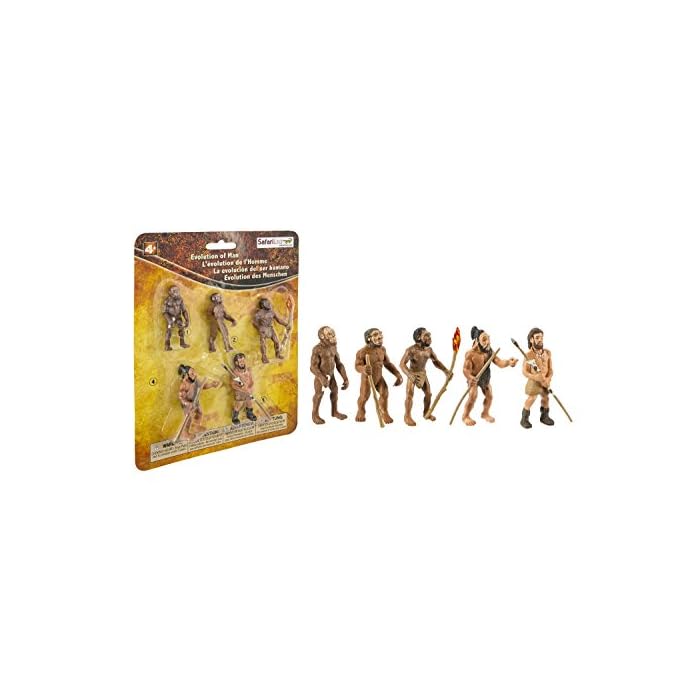Buy Safari Ltd Safariology Evolution Of Man Historical Toy Figurines ...