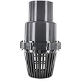 Foot Valve PVC Threaded (4"): Amazon.com: Industrial & Scientific