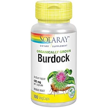 Amazon.com: Solaray Organic Burdock Root Supplement, 485 mg, 100 Count ...