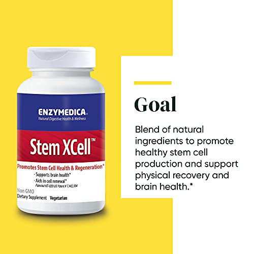 Enzymedica, Stem XCell, Enzyme and Antioxidant Support for Brain and ...
