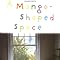 Amazon.com: A Mango-Shaped Space (9780316523882): Mass, Wendy: Books