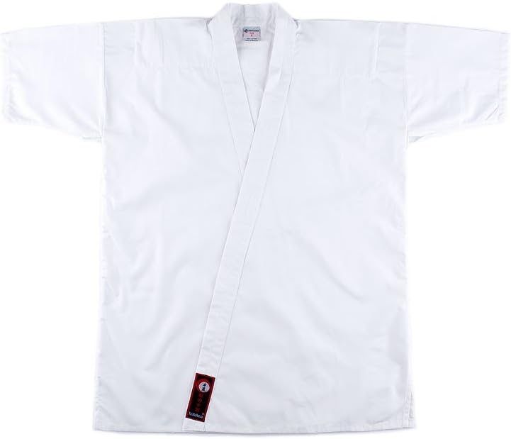 YariNoHanzo Shitagi 2.0 Weiß | Iaido Shitagi |190 cm: Amazon.de: Sport ...