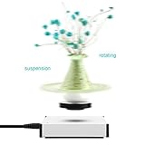 Levitron Revolution - Levitate Your Stuff! - The Green Head