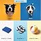 Let's Find Momo Outdoors!: A Hide-and-Seek Adventure with Momo and Boo ...