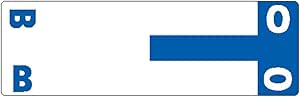 Amazon.com : Smead AlphaZ NCC Color-Coded Labels, Letters B&O, Dark ...
