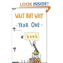 Amazon.com: Wait But Why Year One: We finally figured out how to put a ...