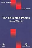 Collected Poems 1948-1984: Amazon.co.uk: Derek Walcott: 9780571162918 ...