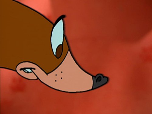 Watch Zoboomafoo - Season 1 | Prime Video