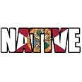 Amazon.com: ION Graphics Florida Native Sticker Vinyl Decal FL Pride 5 ...