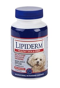 Amazon.com : Lipiderm Gel Cap Skin and Coat Supplement for Small and ...