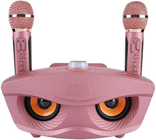 SDRD Portable Karaoke Machine, Wireless Bluetooth Speaker with 2 ...
