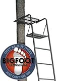 Bigfoot Gifts & Toys New One Man Hunting 12 ' Foot Ladder Tree Stand ...