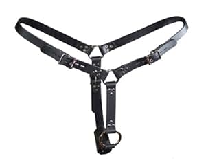 Amazon.com: Extra Large Locking Male Butt Plug Harness: Health ...