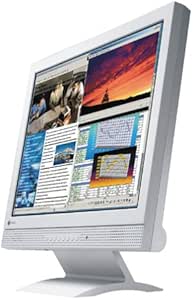 Amazon.com: Eizo 17" FlexScan L565 DVI 720p LCD Monitor w/Speakers ...