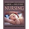 Labor and Delivery Nursing: 9780826118035: Medicine & Health Science ...