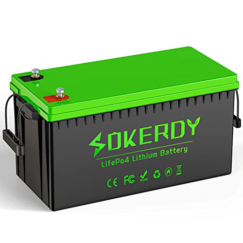 400Ah LiFePO4 Battery, 5120WH, 400A BMS, 4000+ Cycles, 10- Year Life,12 ...