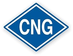 Amazon.com : CNG Labels (Full Set of 3) Meets all NFPA 52 Requirements ...