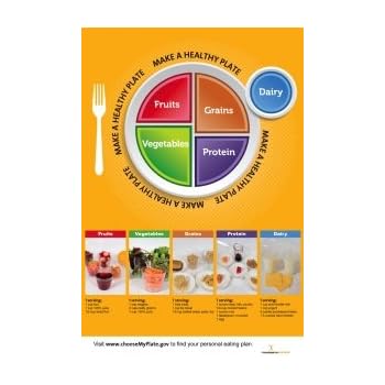 Amazon.com: My Food Pyramid Poster 18" x 24" Laminated, USDA MyPyramid ...