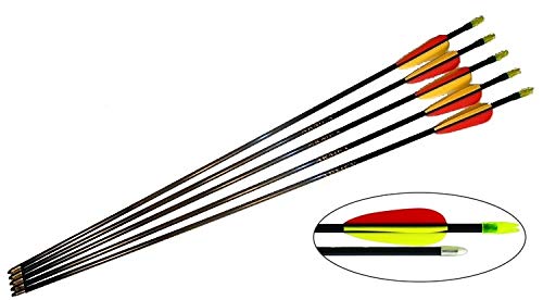 5 x Trueflight 26" Fibreglass Archery Arrows with SafetyTips for Target ...