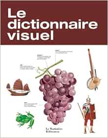 Le dictionnaire visuel (French Edition): 9782732434353: Amazon.com: Books