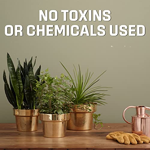 Exterminators Choice Large Red Sticky Traps | 10 Professional Quality ...