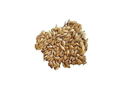 Barley - Organic Sprouting Barley (50 lb Bag) in Dubai - UAE | Whizz ...